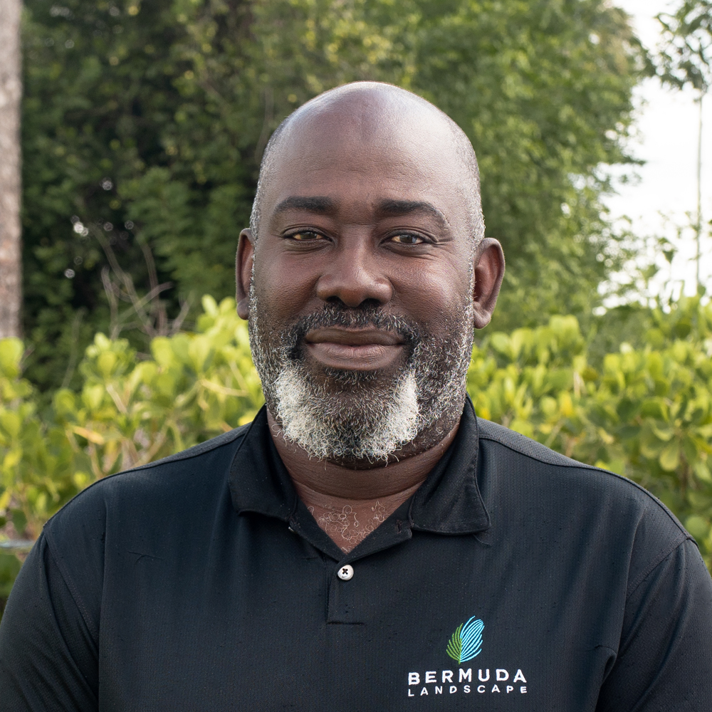 About Bermuda Landscape - Bermuda Landscape & Design